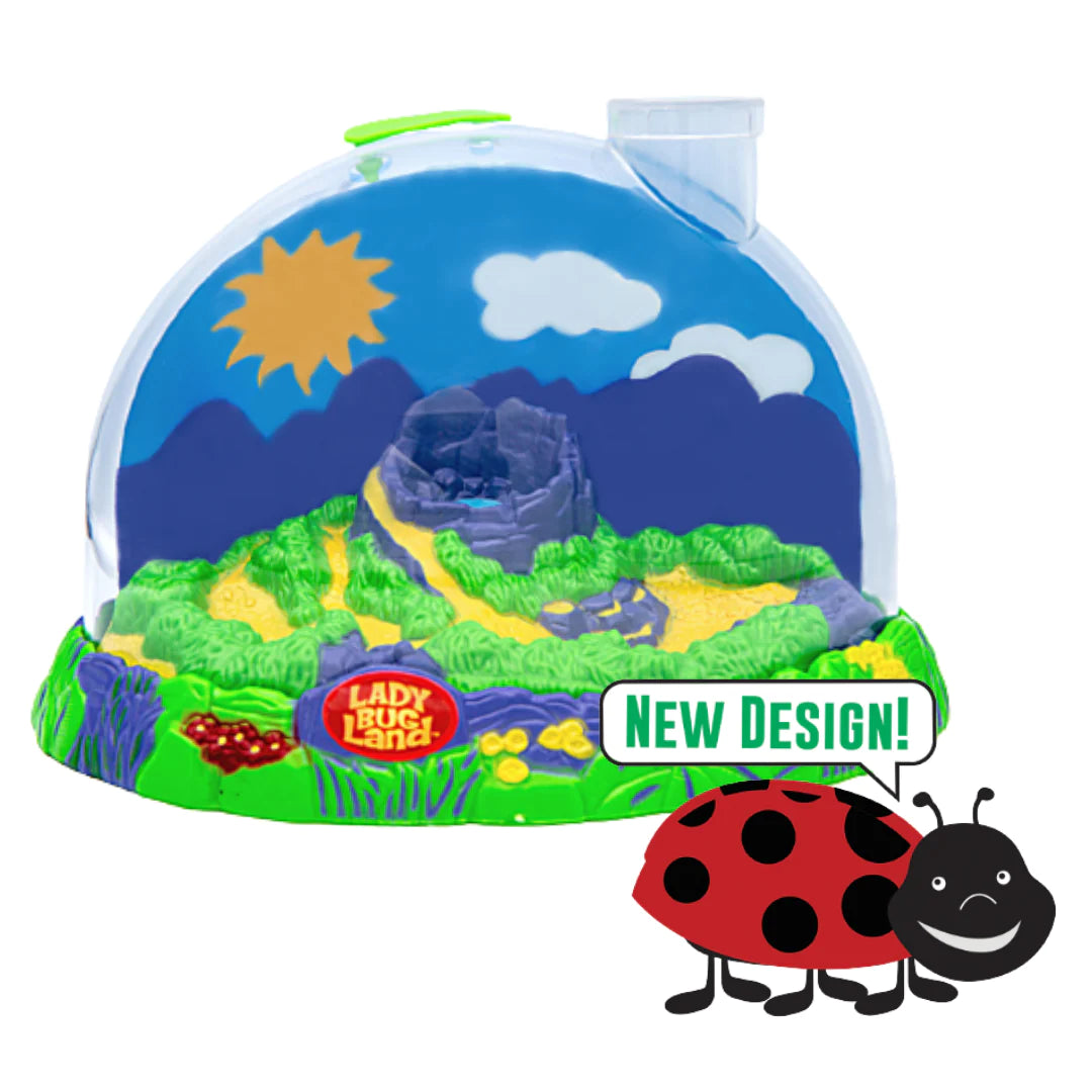 Ladybug Land Kit with Voucher – Olly-Olly