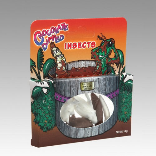 Hotlix Chocolate Covered Insects – Olly-Olly