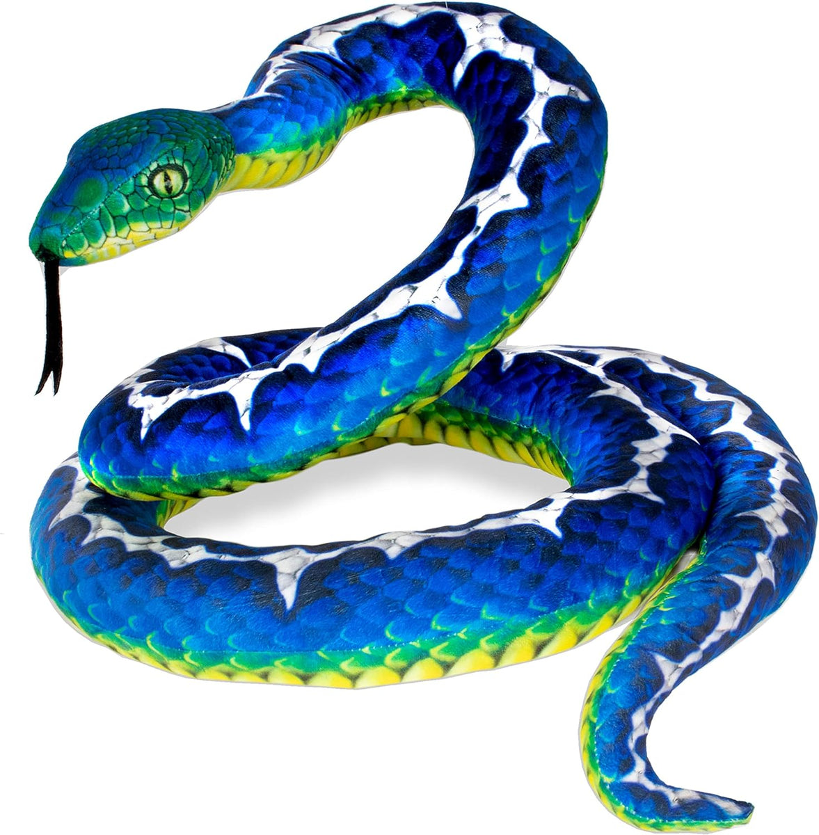 Real Planet Tree Python Blue/White Snake – Olly-Olly