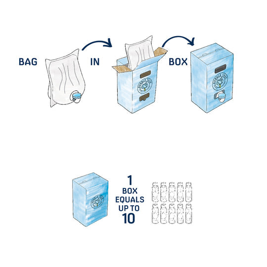 Bubble Tree 1 Liter 2 Bottle Original Refillable Bubble System – Olly-Olly